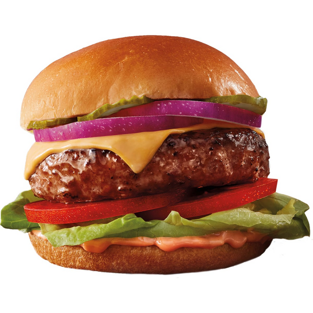 Beyond Meat The Beyond Burger 226g – ChayMart